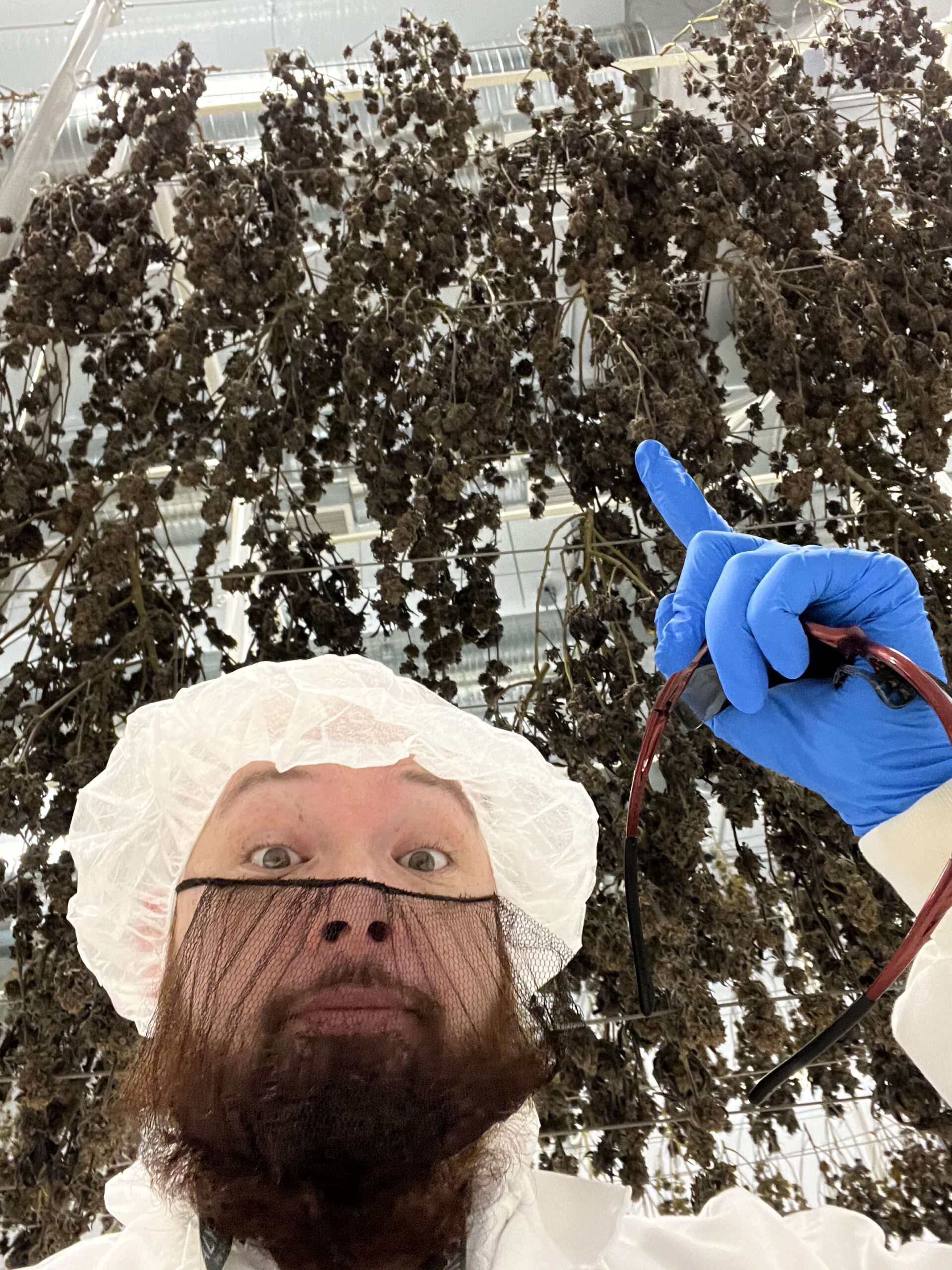 Cannabis Store | Home - Dope Cannabis